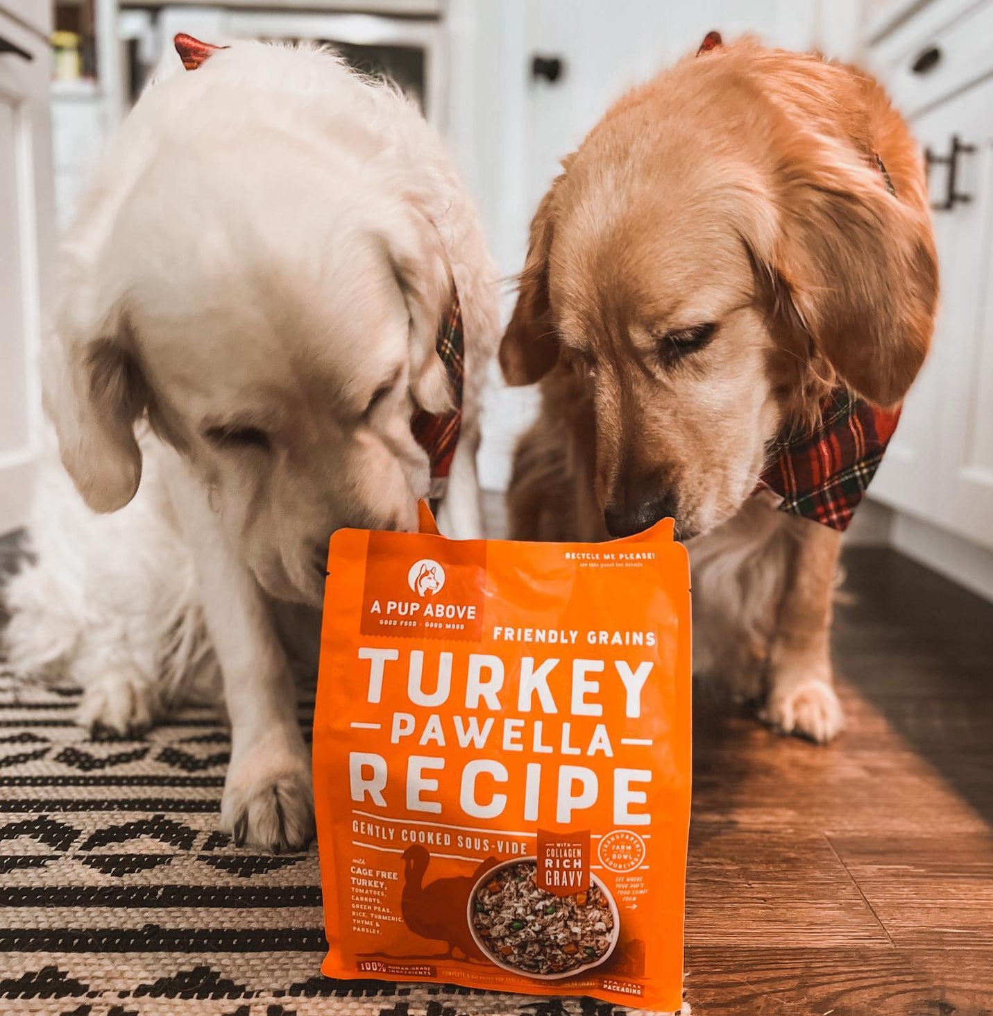 Holistic Pet Cuisine