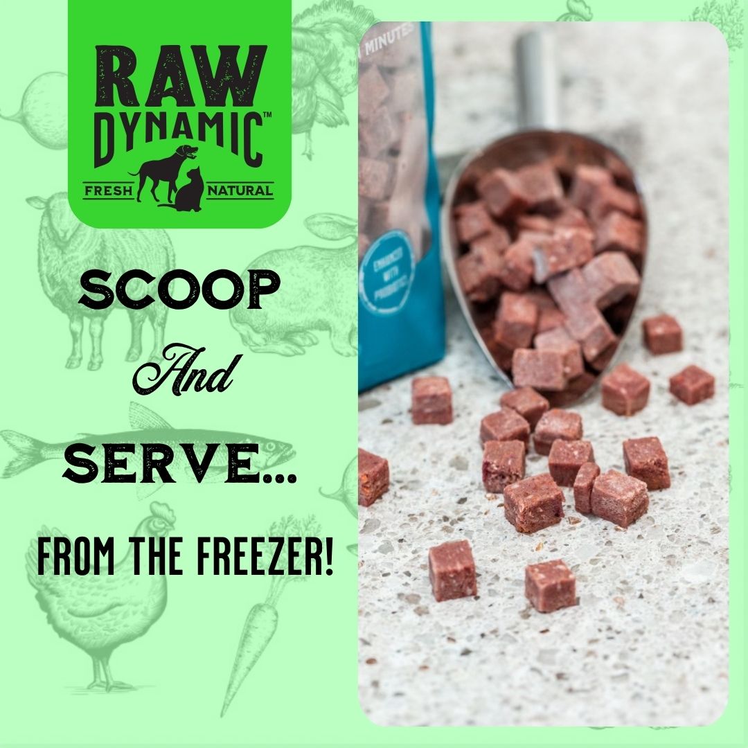 RawDynamic Frozen Scoop and Serve Dog Food — Holistic Pet Cuisine